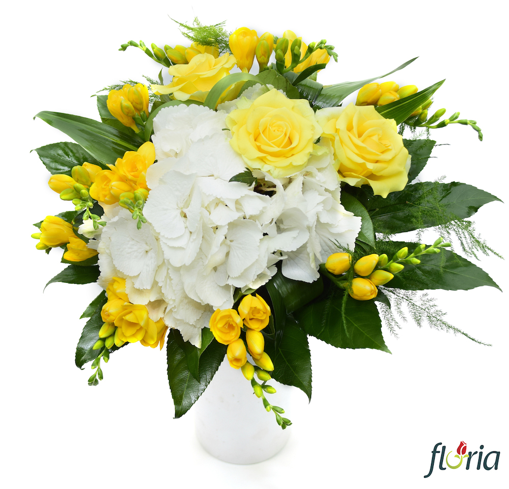 Alb diafan, pasteluri si combinatii cu aer de vacanta - tendinte la ...